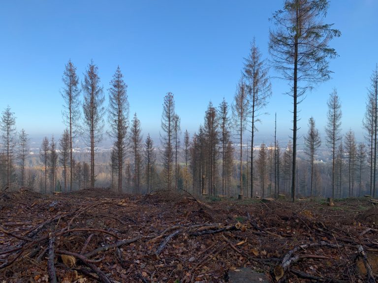 BRELOG GOES GREEN — COOPERATION WITH CLIMATEBLOOM - BRELOG GmbH